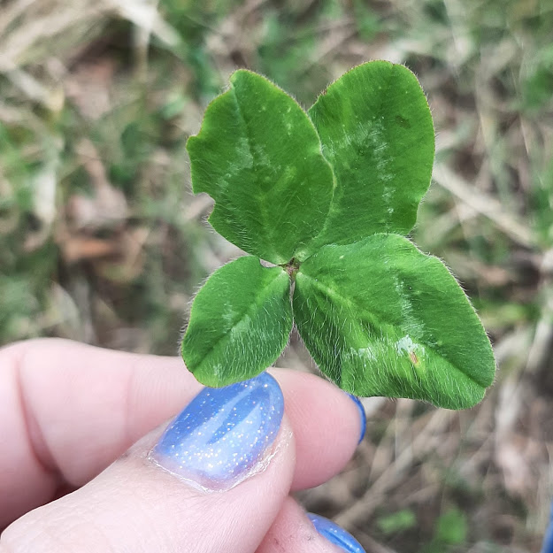 Autism is a Four-Leaf Clover – Samanthropology